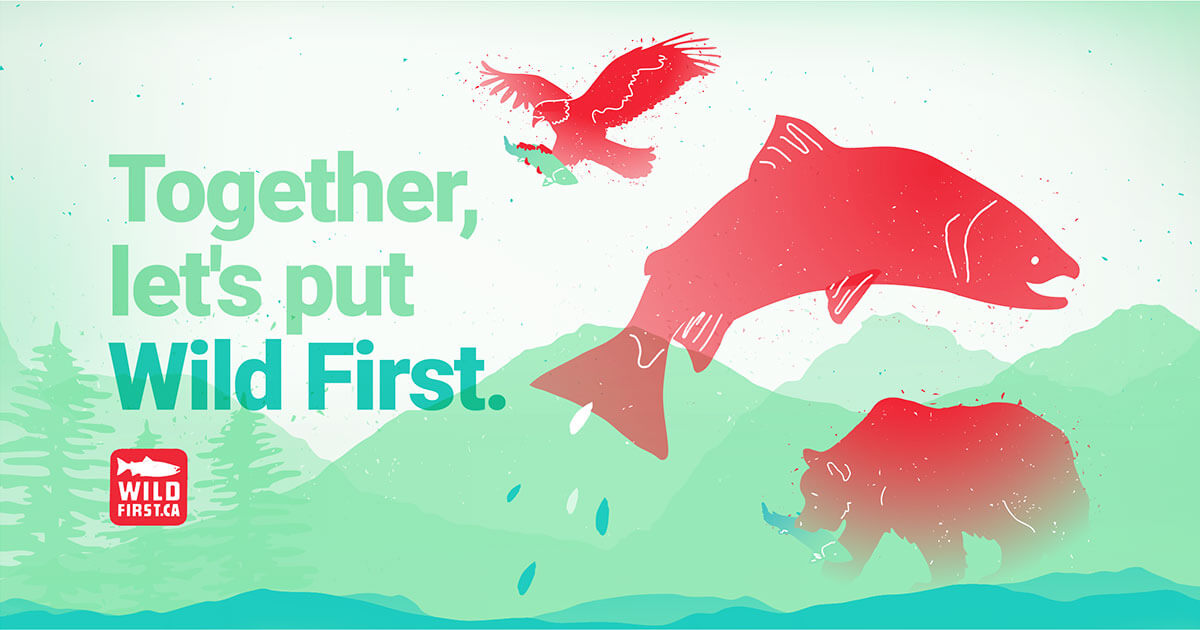 Chief Bob Chamberlin, Chair of the First Nation Wild Salmon Alliance ...