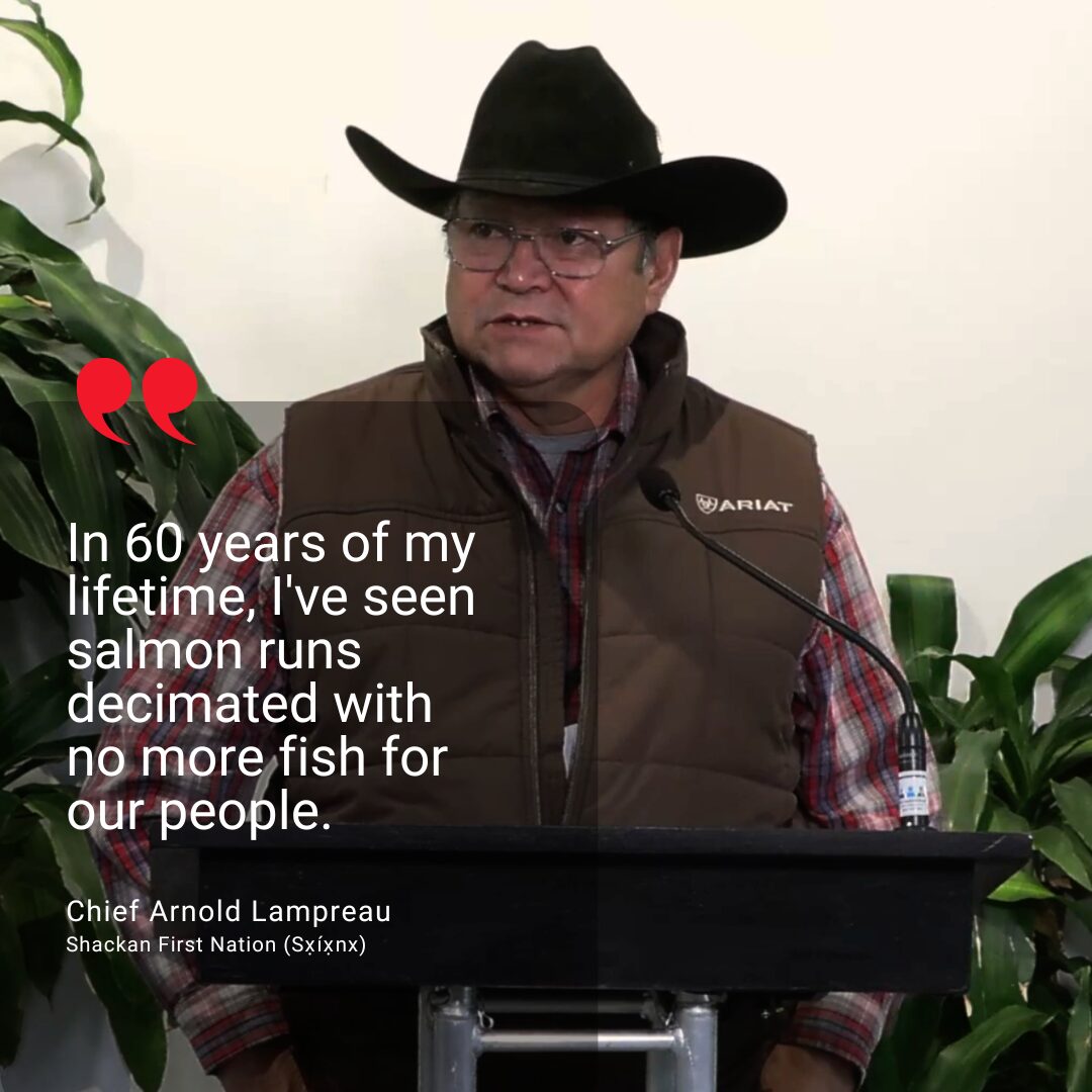 90% of First Nations in BC Rely on Wild Salmon - Wild First