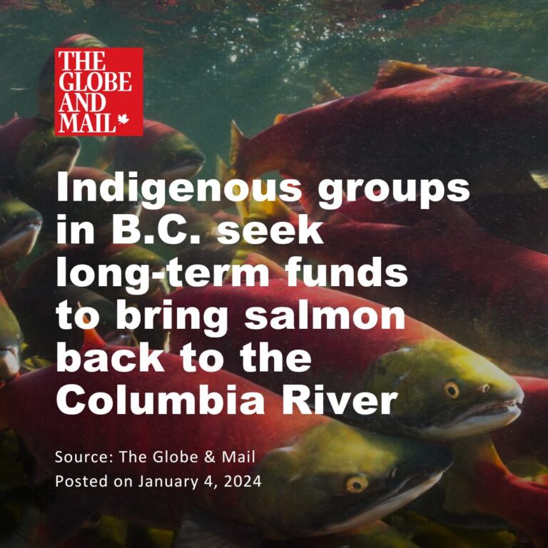 First Nations across BC focus on wild Pacific salmon restoration - Wild ...