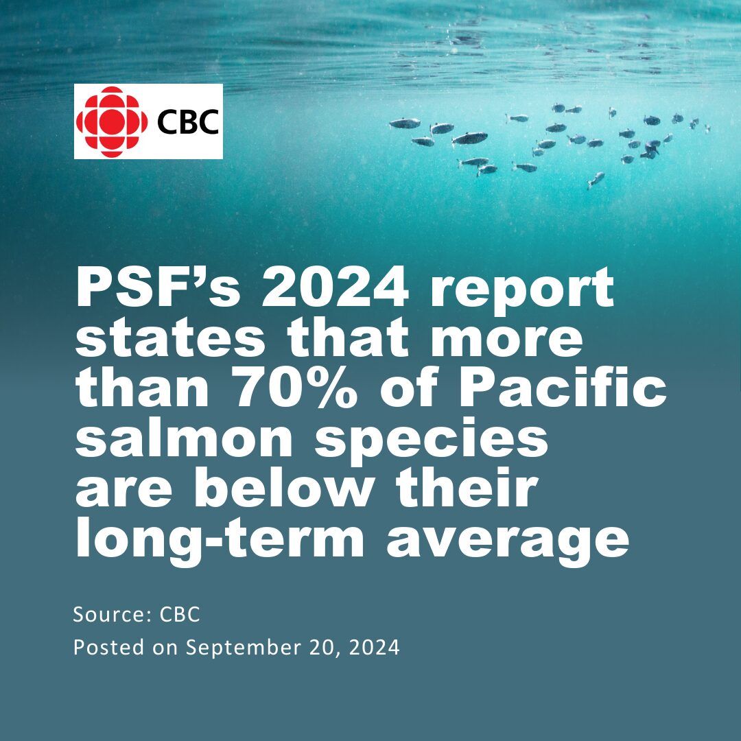 Psfs 2024 Report States Wild Salmon Are In Decline Across Bc Wild First